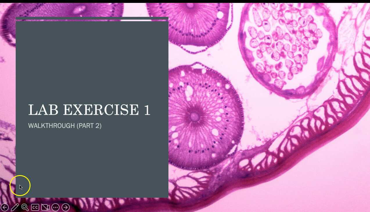 Lab Exercise 1 Walkthrough (Part 2) - no quiz