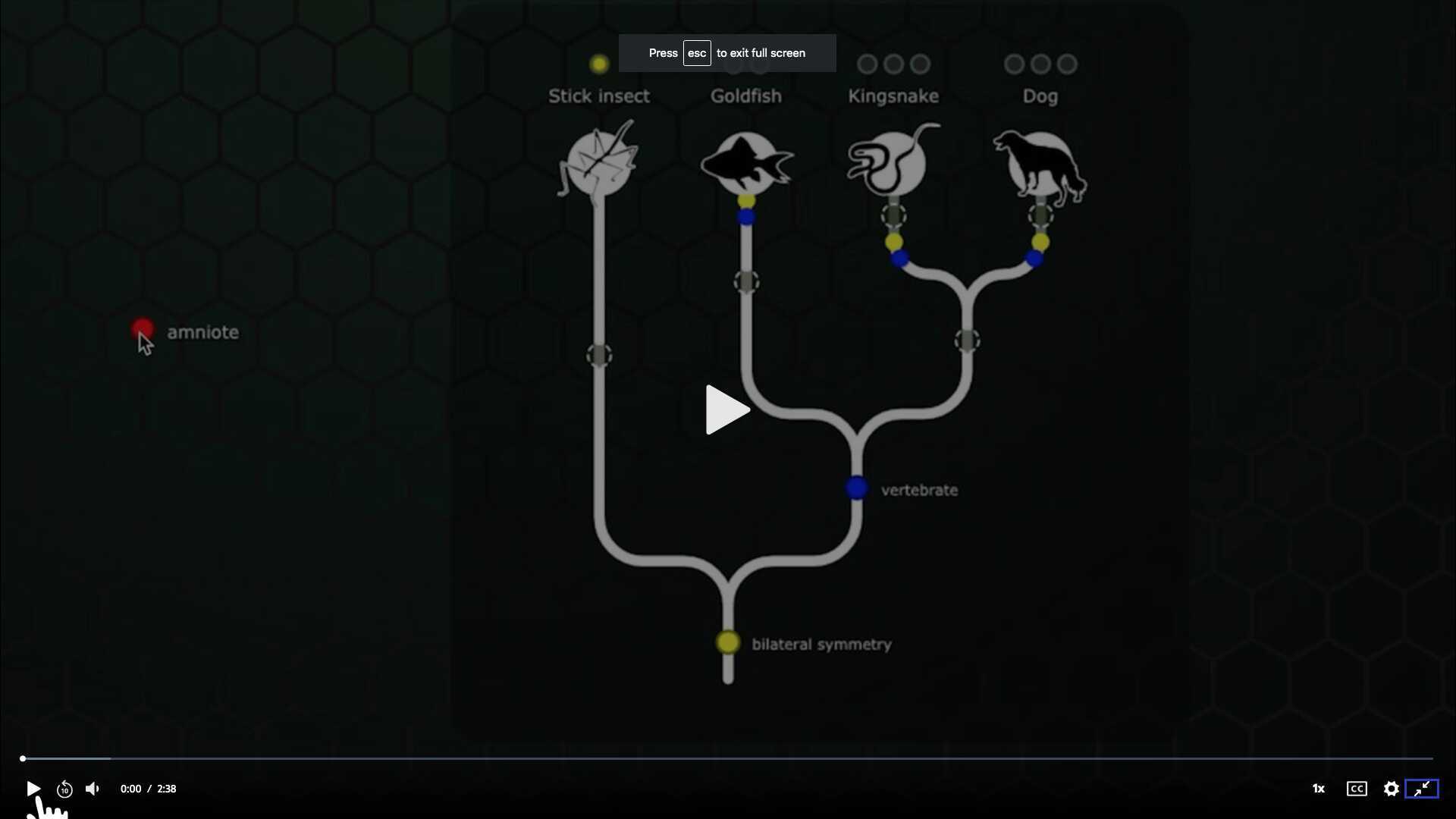 Mission 1: Training Trees