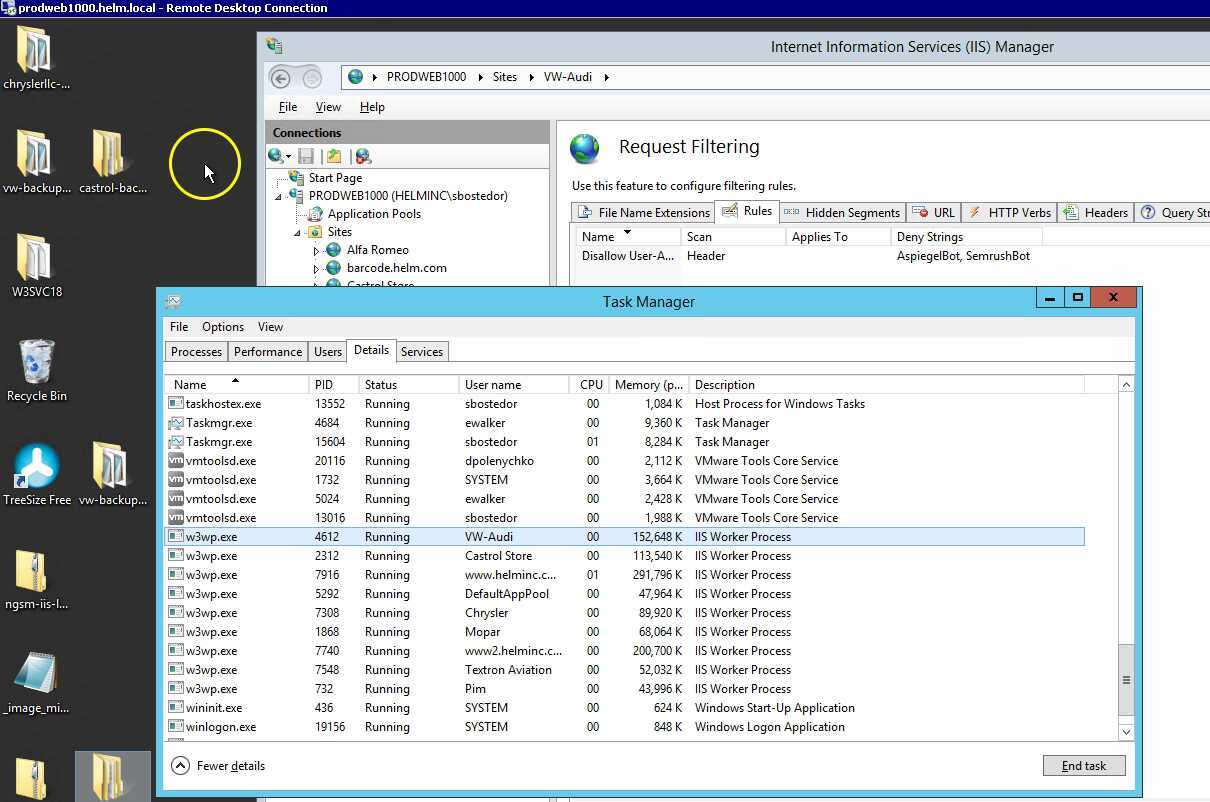VW IIS Worker Process - After Request Filtering