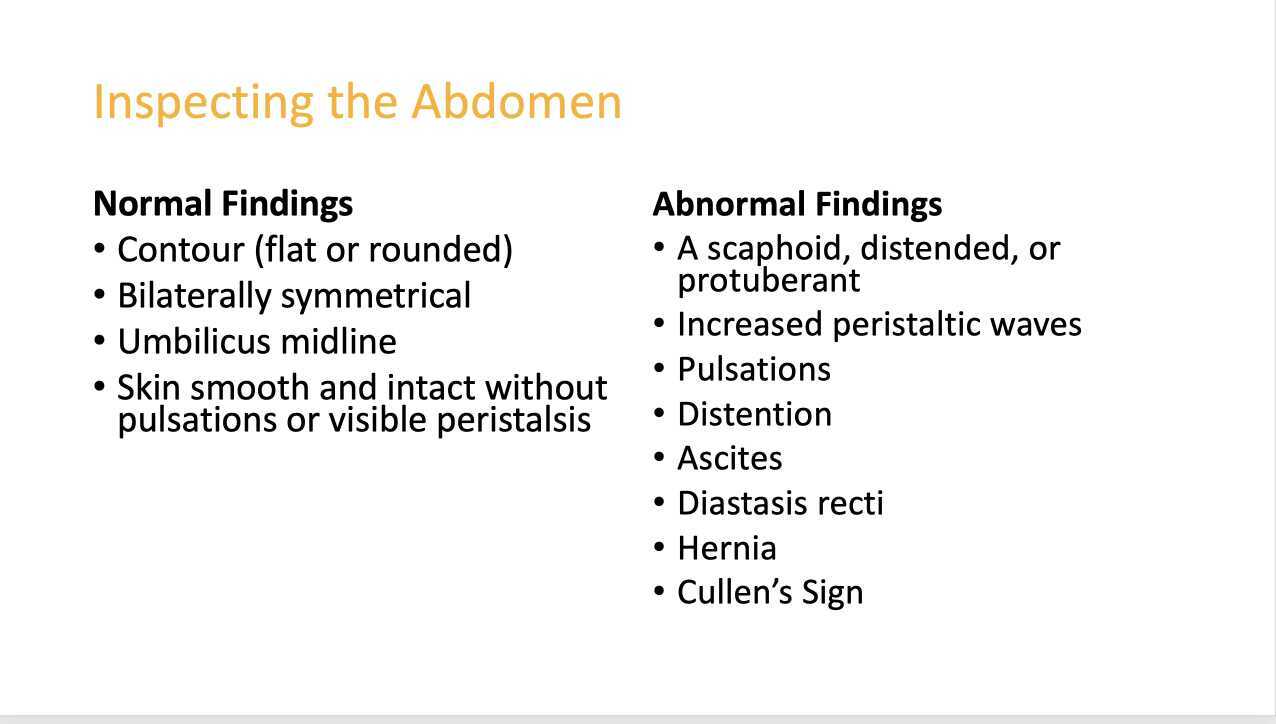 Abdomen Part 2