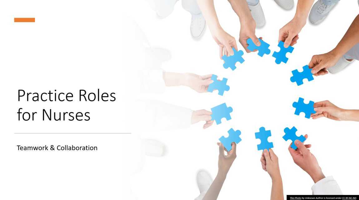 Practice Roles for Nurses: Teamwork & Collaboration (Day 2)