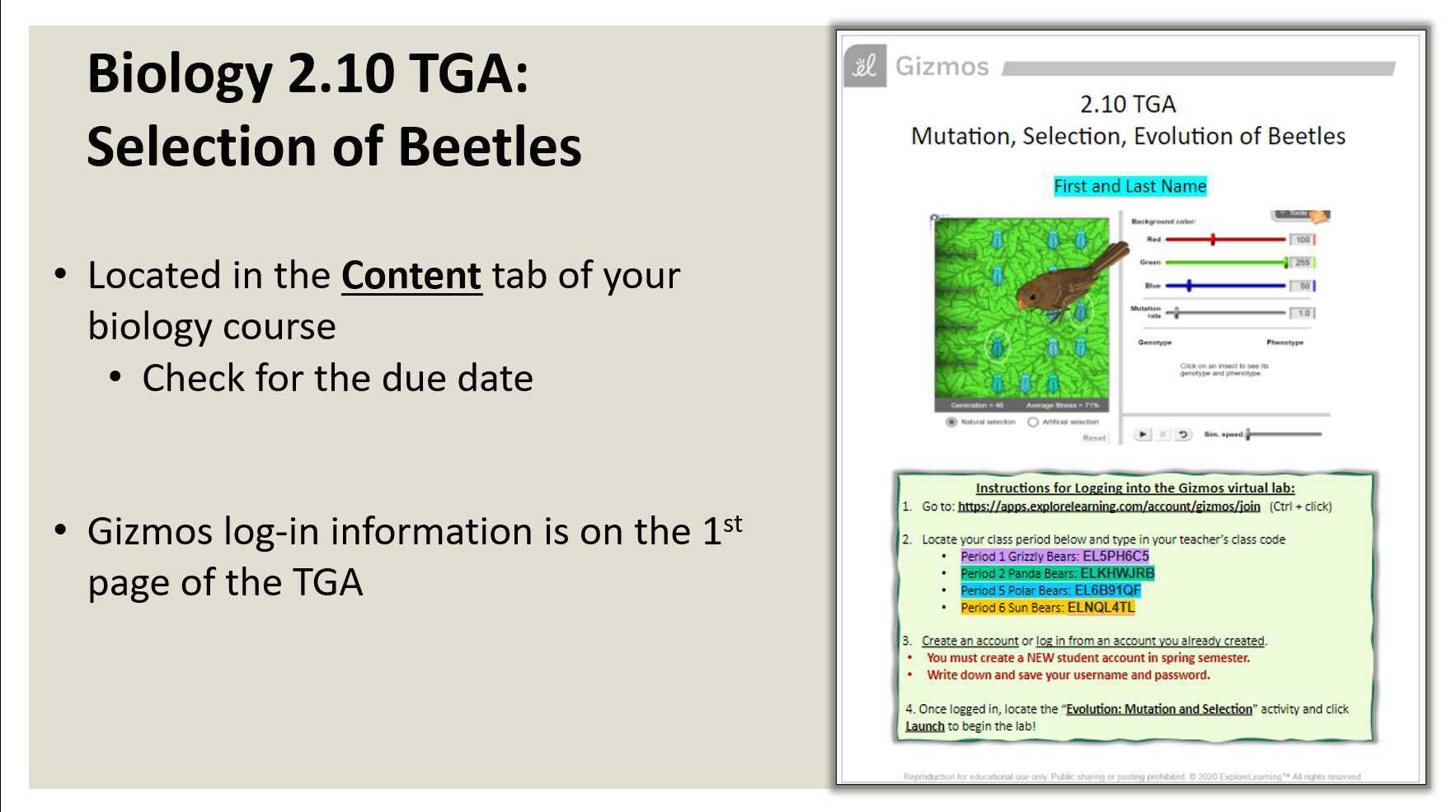 2.10 TGA Tutorial - Sundlof24