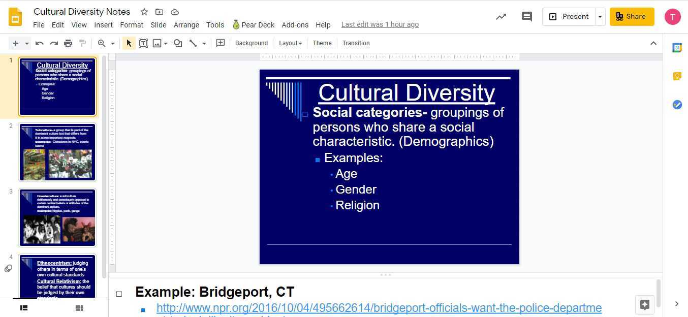 Cultural Diversity Lesson Overview