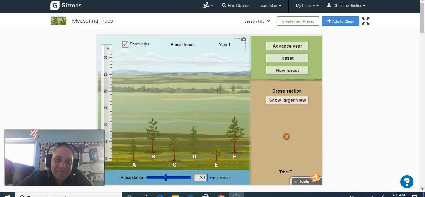 measuring trees GIZMO