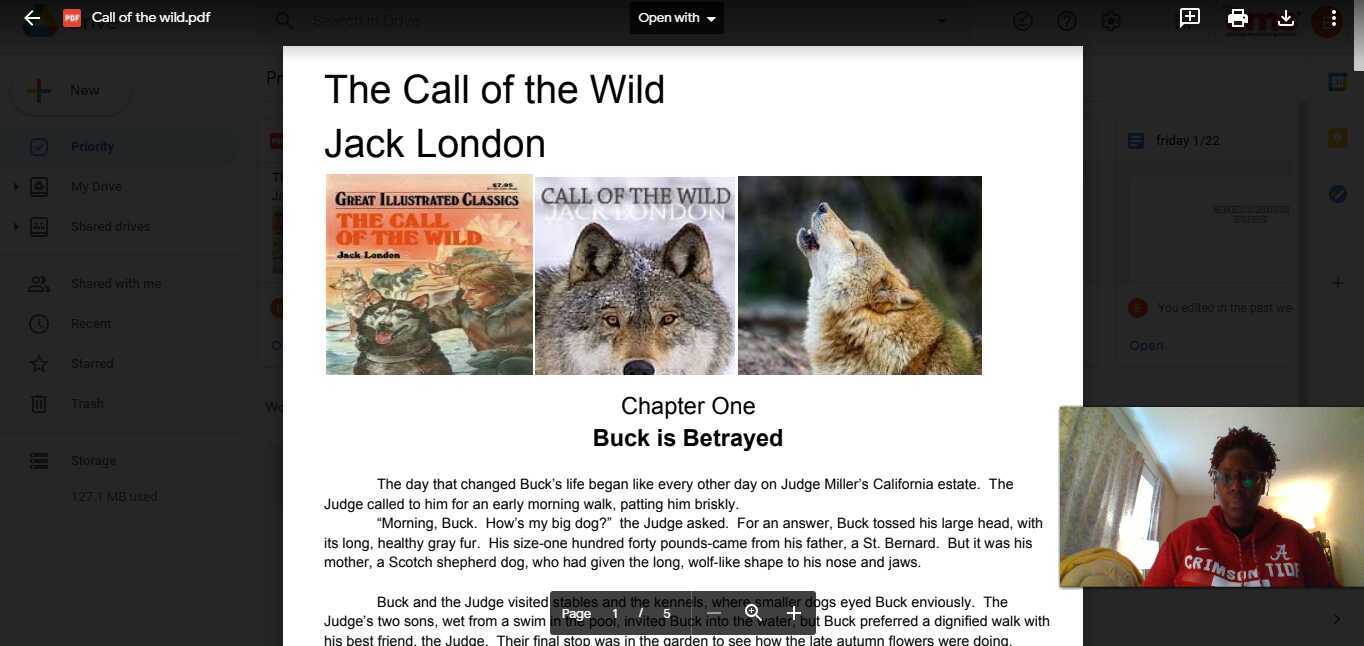 The Call of the Wild excerpt
