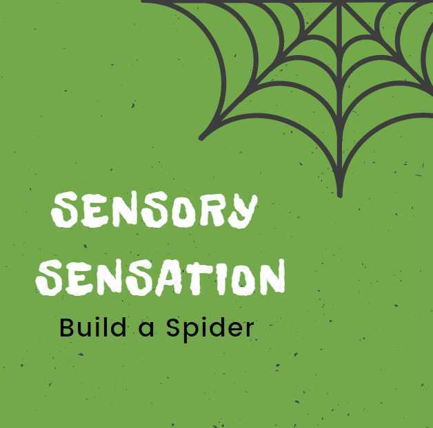 Sensory Sensation_Build a Spider