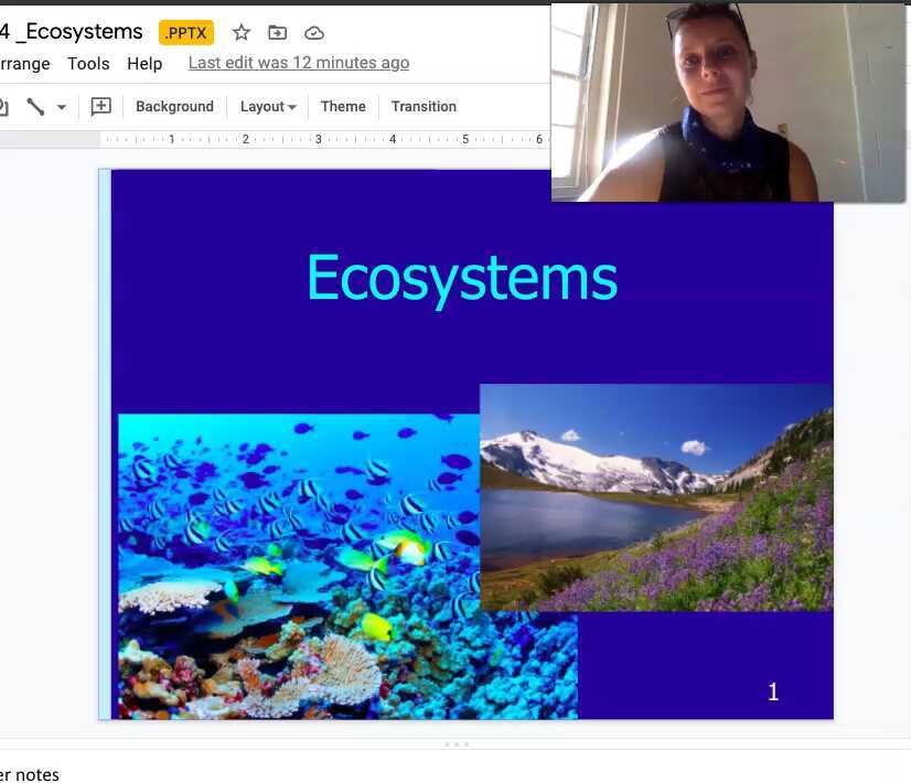 Ecology Lecture 4 Ecosystems
