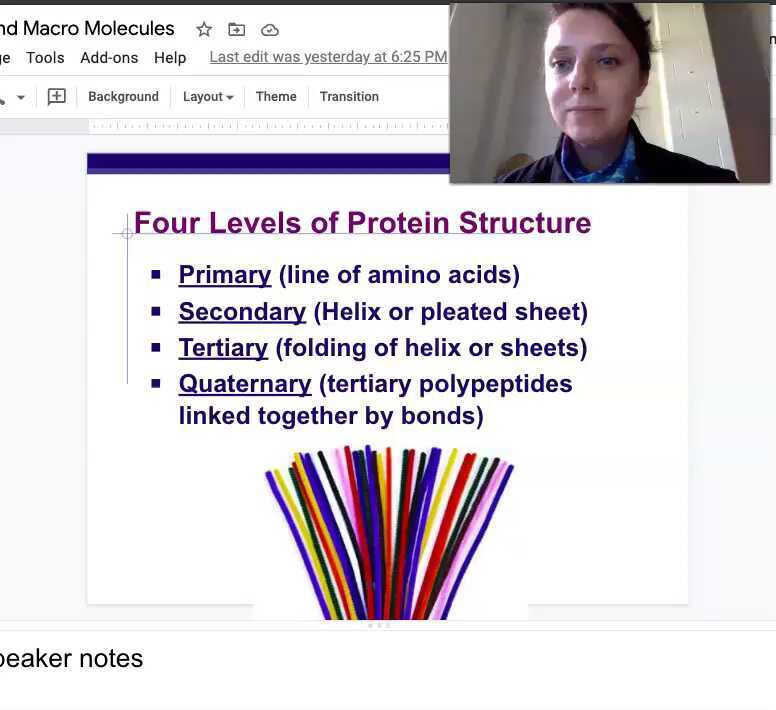 Part 3 Protein Structure Demonstration Fall 2021