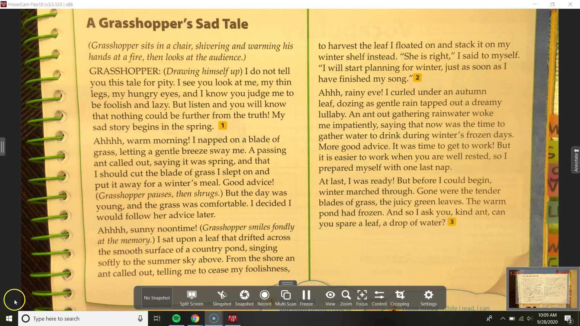 A Grasshopper's Sad Tale