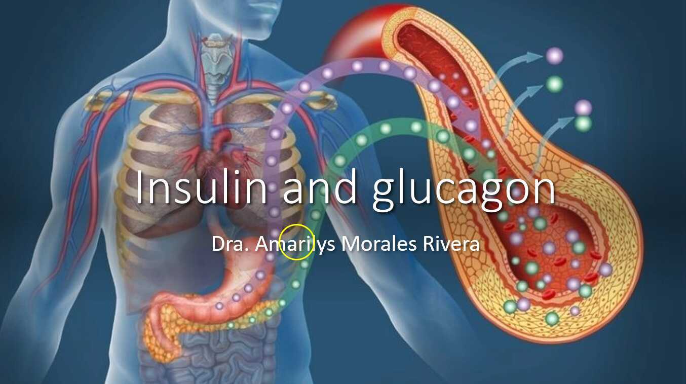 Insulina y Glucagon