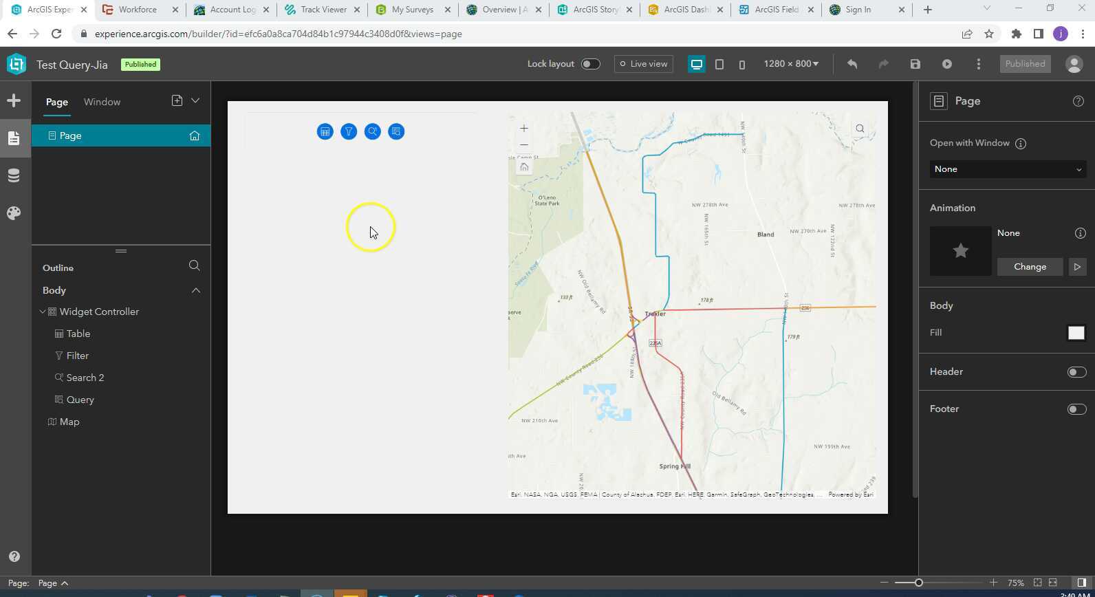 widgets in Experience Builder