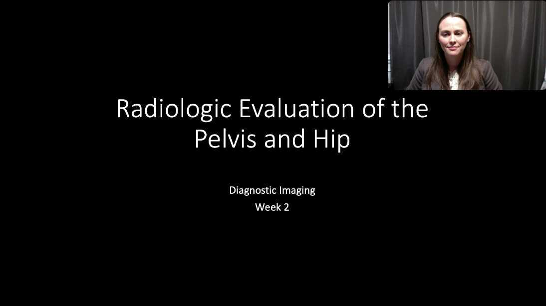 Week 2 - Pelvis & Hip