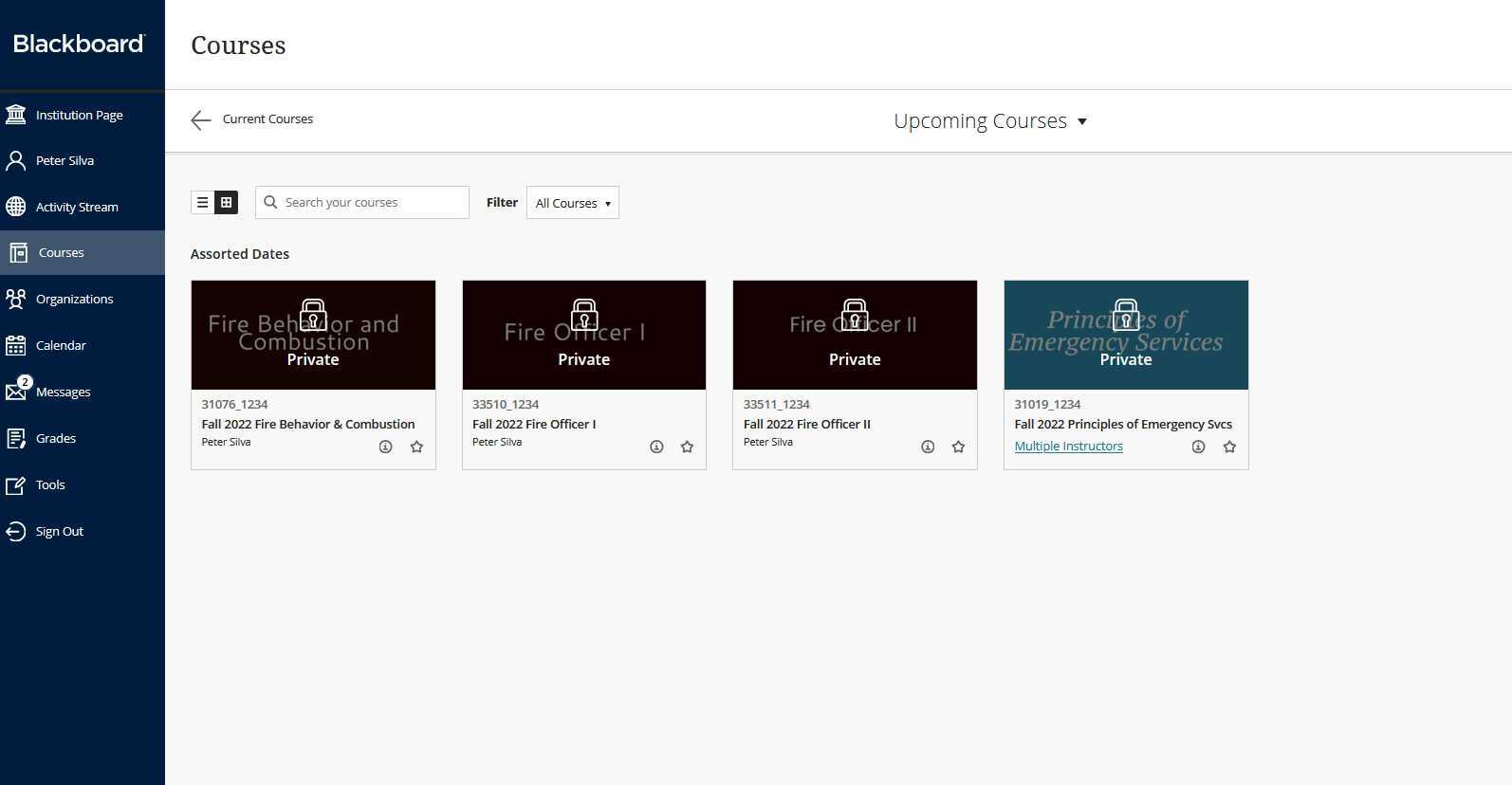Navigating Blackboard- Principles of Emergency Services