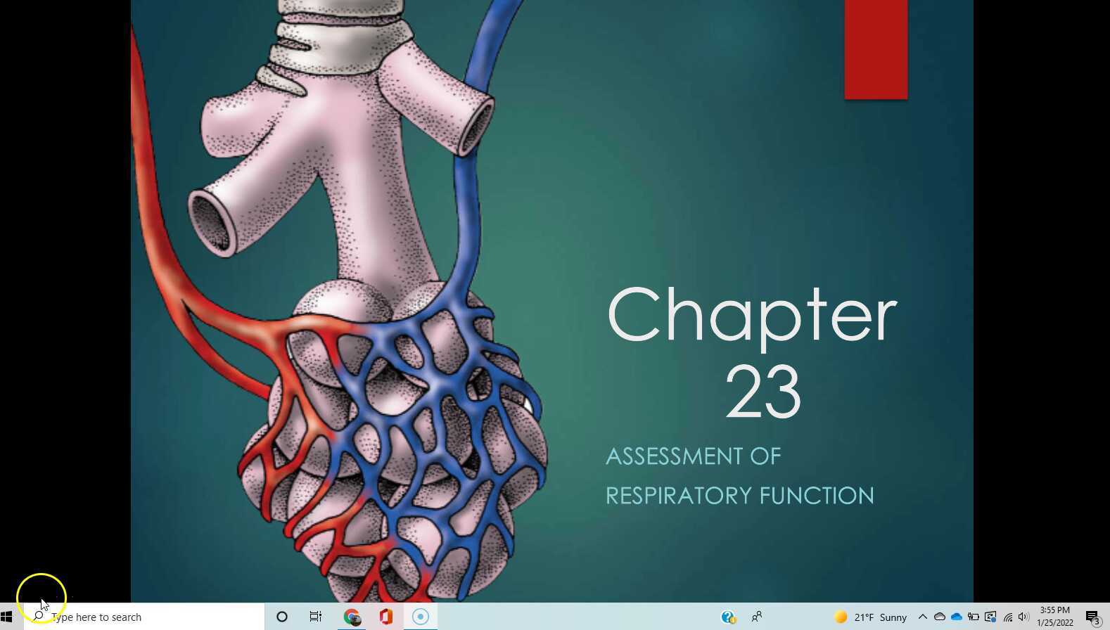 Ch. 23: Assessment of Respiratory Function