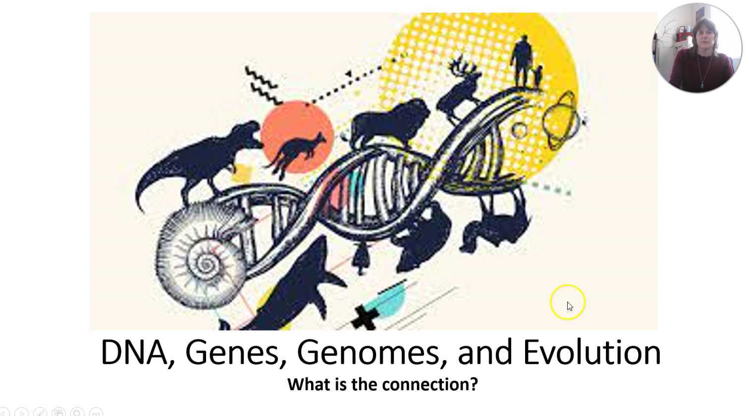 DNA, Genems Genomes, and Evolution