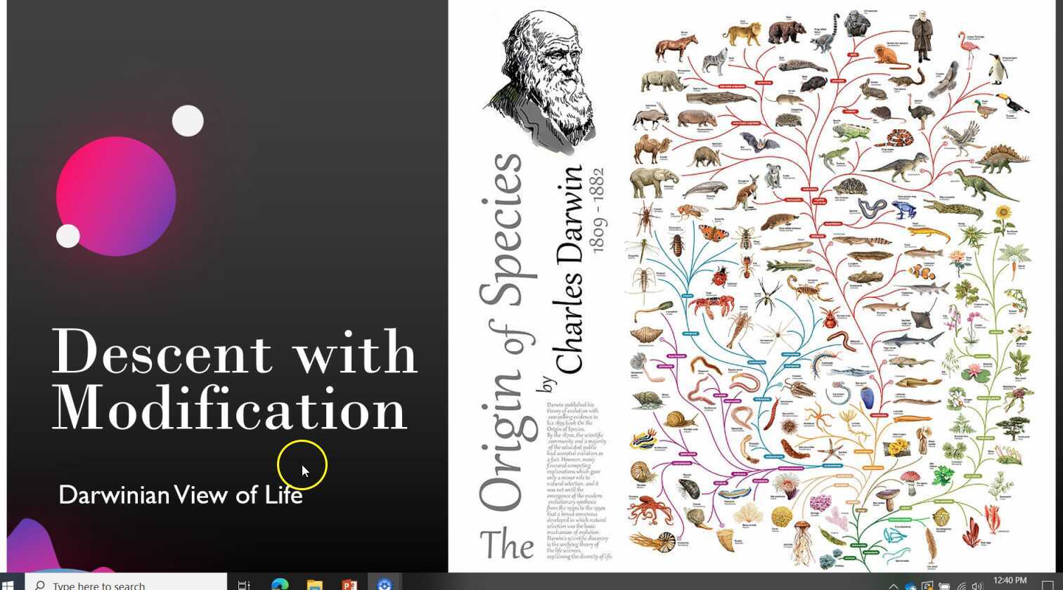 Descent with Modification