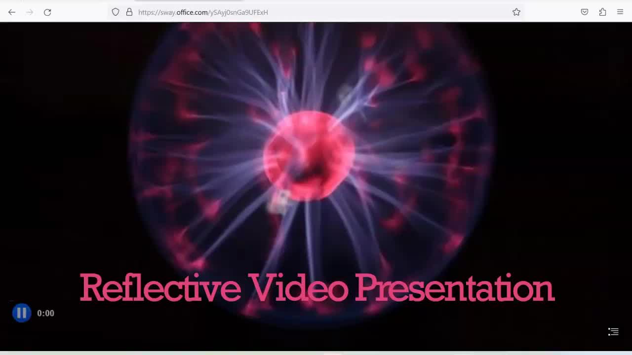 Reflective Video Presentation - B.Micheels