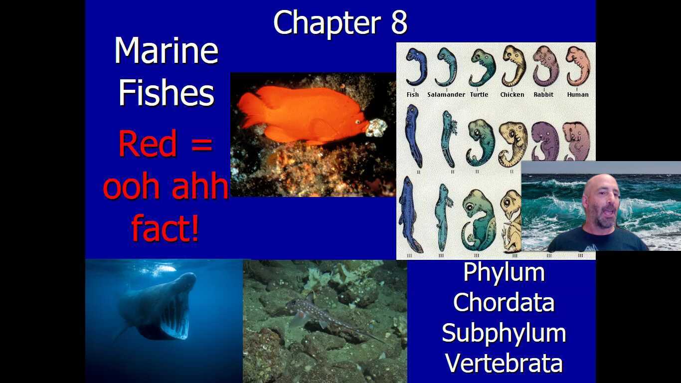 Chapter 8 - Marine Fishes