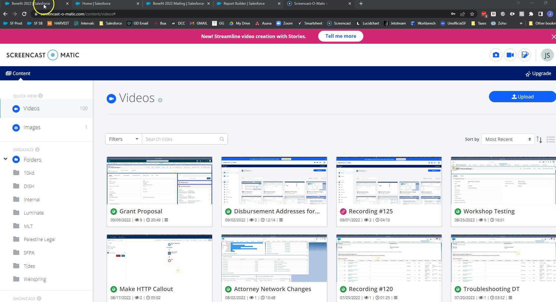 Campaign Member Report