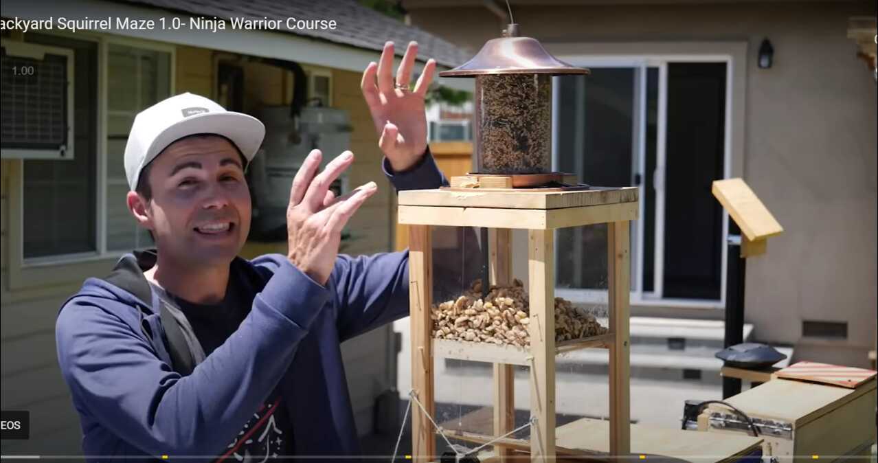 Squirrel Maze Part 1