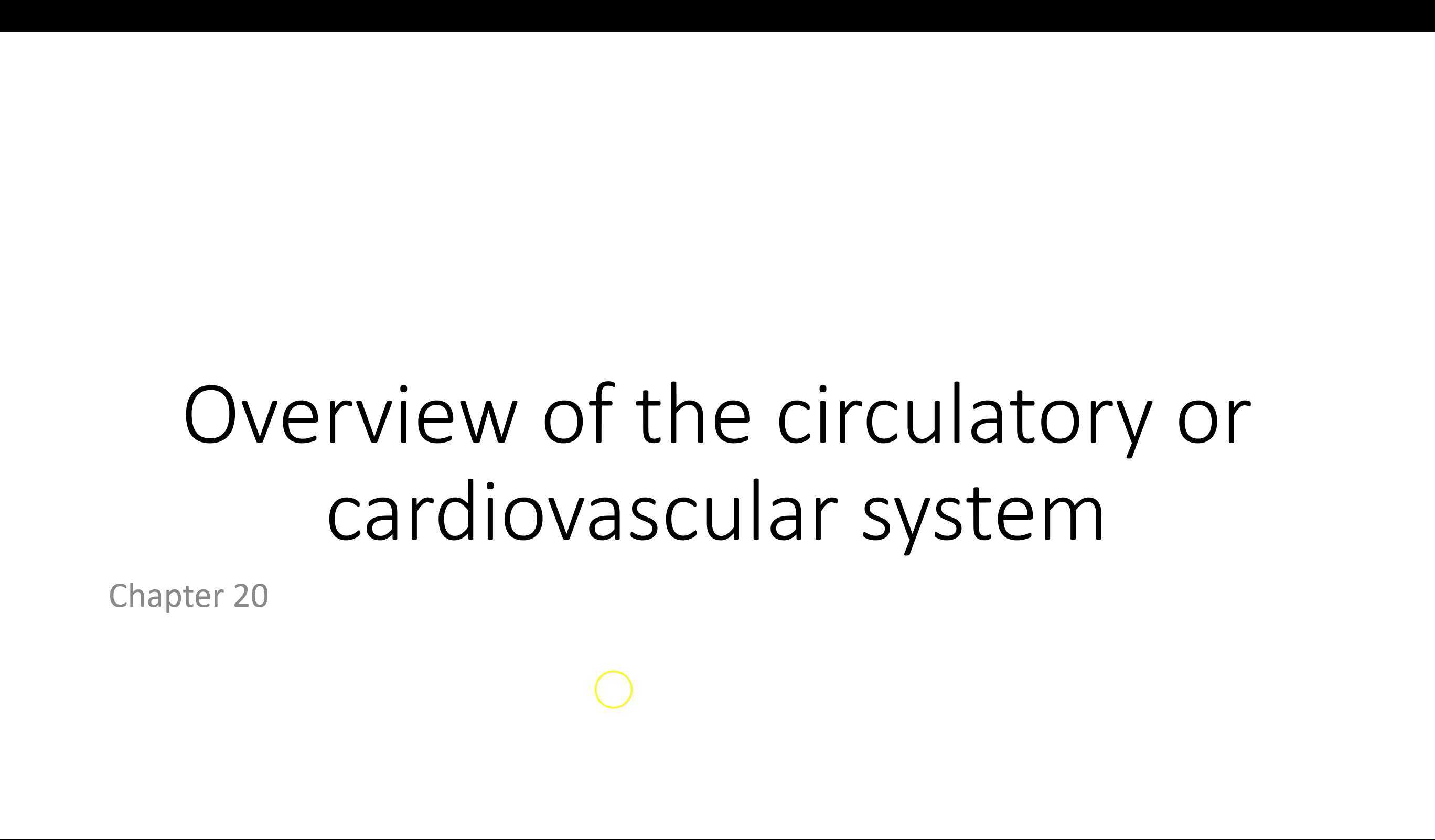OVERVIEW OF HEART CIRCULATION AND EXTERNAL STRUCTURES OF THE HEART