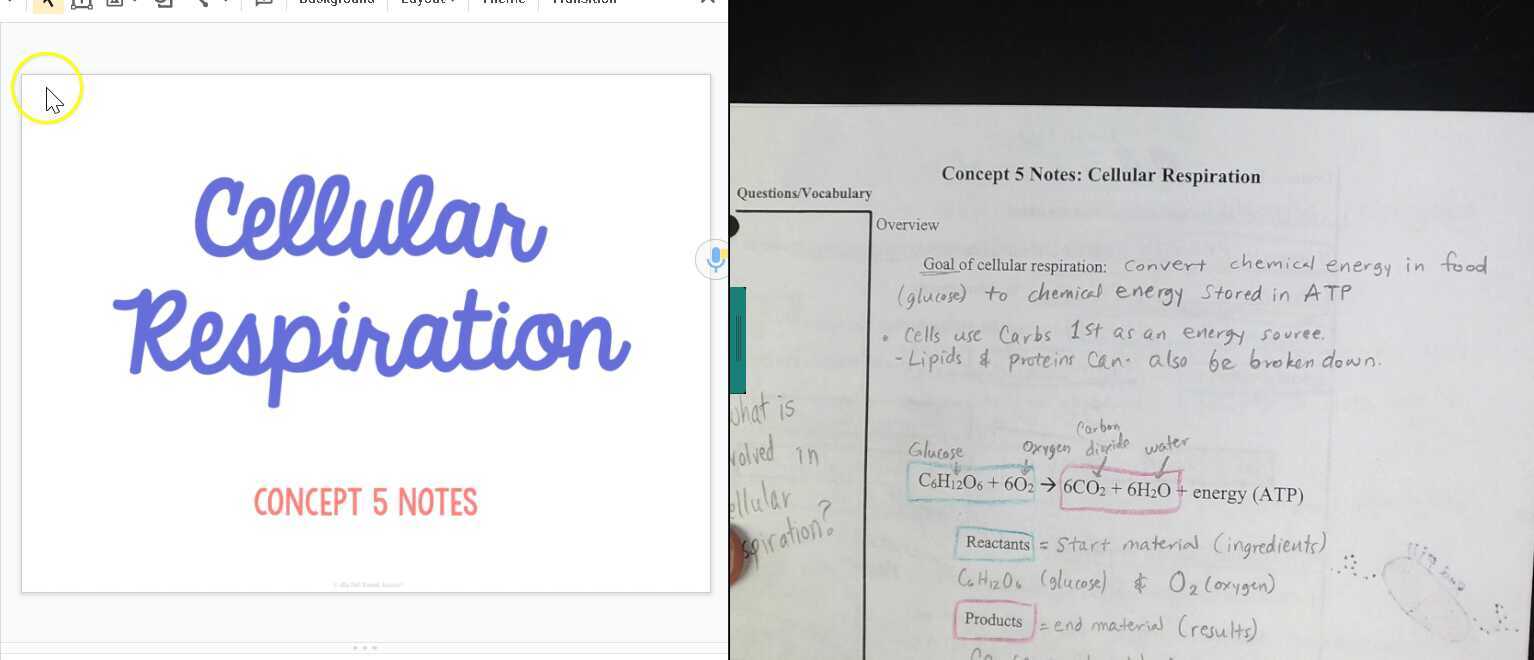Concept 4: Cellular Respiration Notes