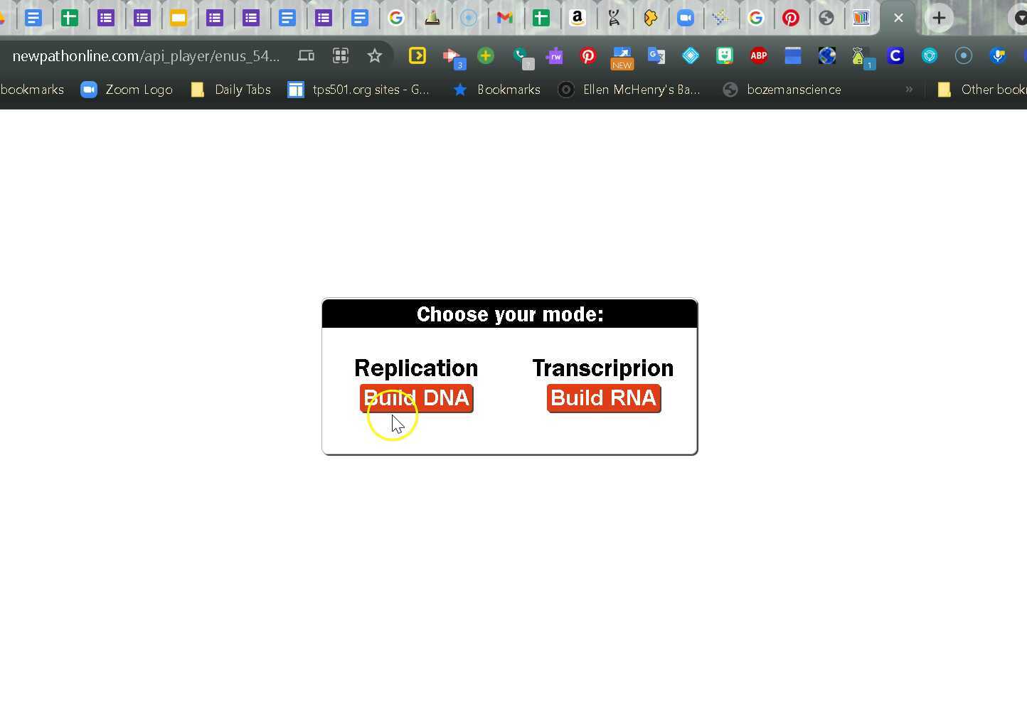 DNA Replication: Simulator
