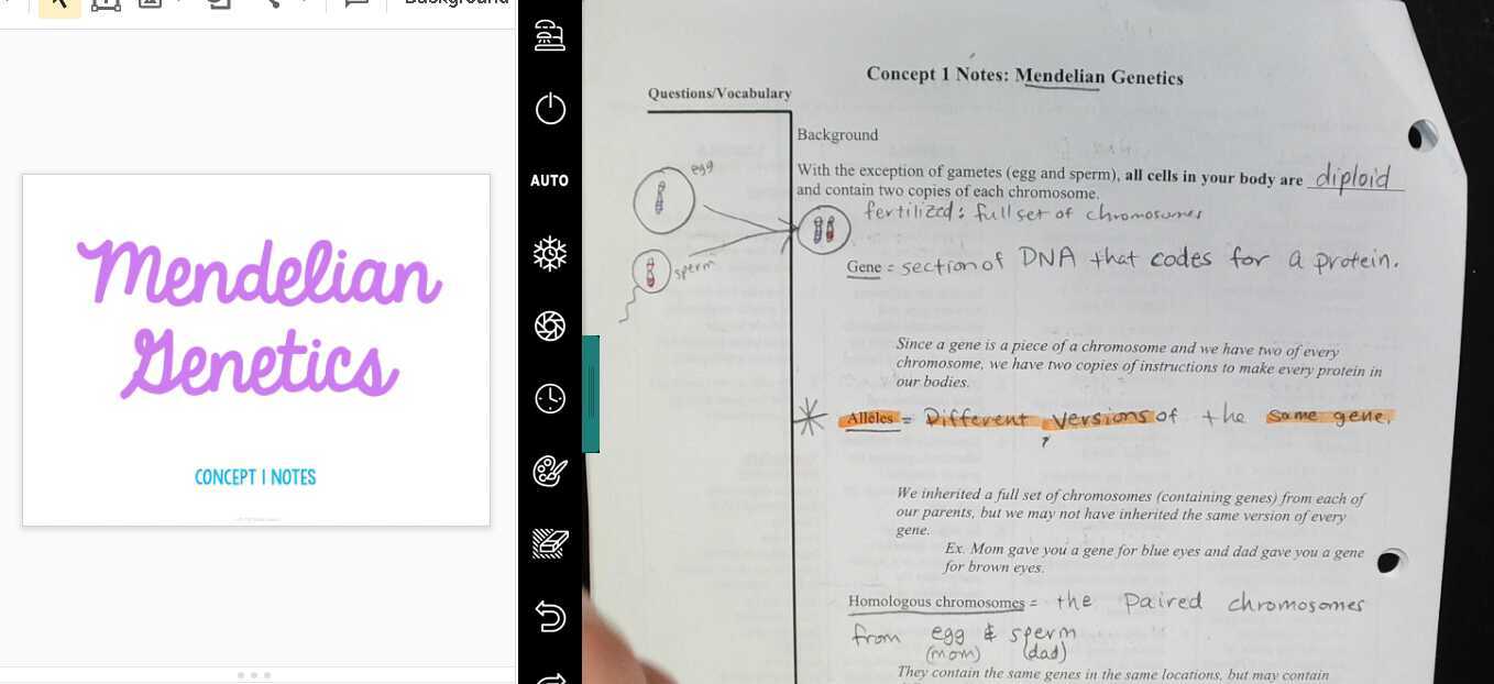 Concept 1: Mendelian Genetics Notes Good