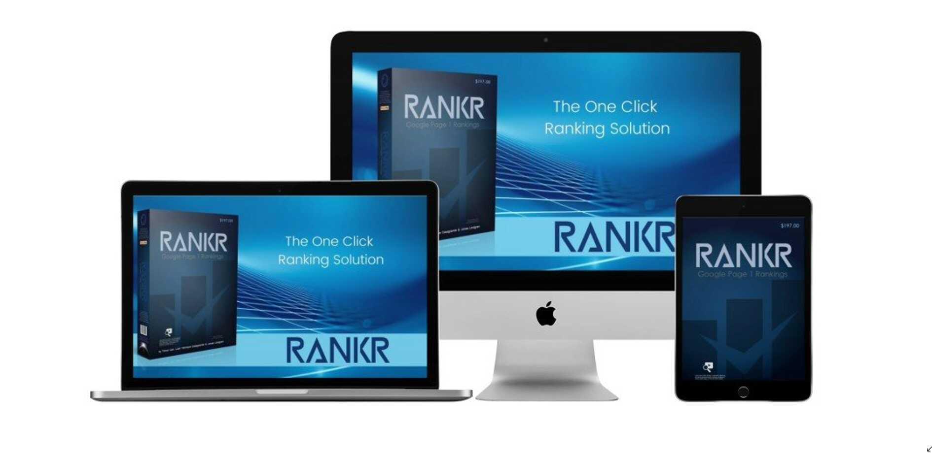 Rankr Review