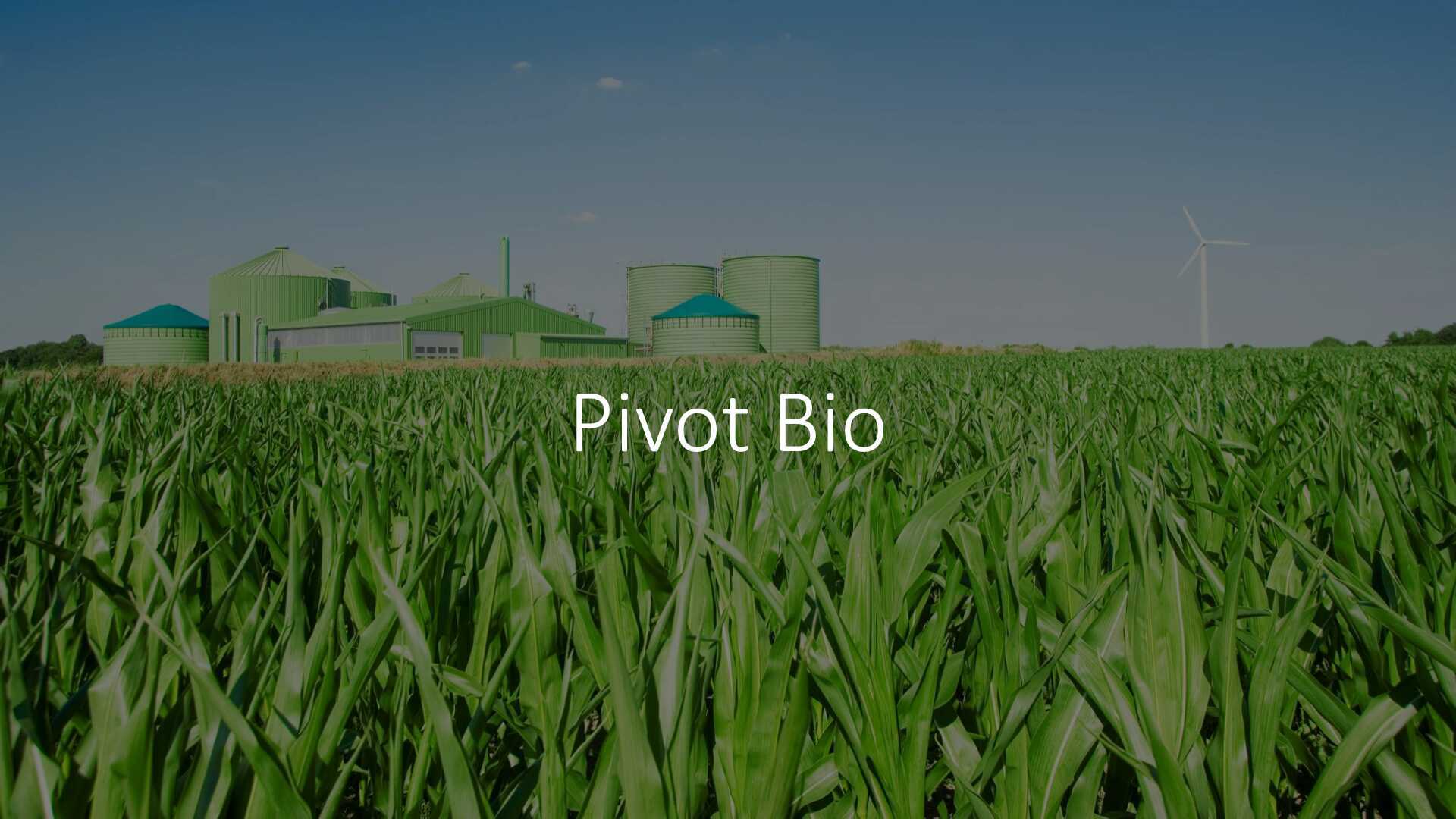pivot bio review