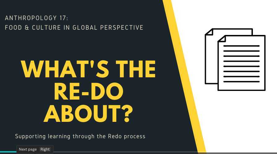 Anthro17: Redo Explained
