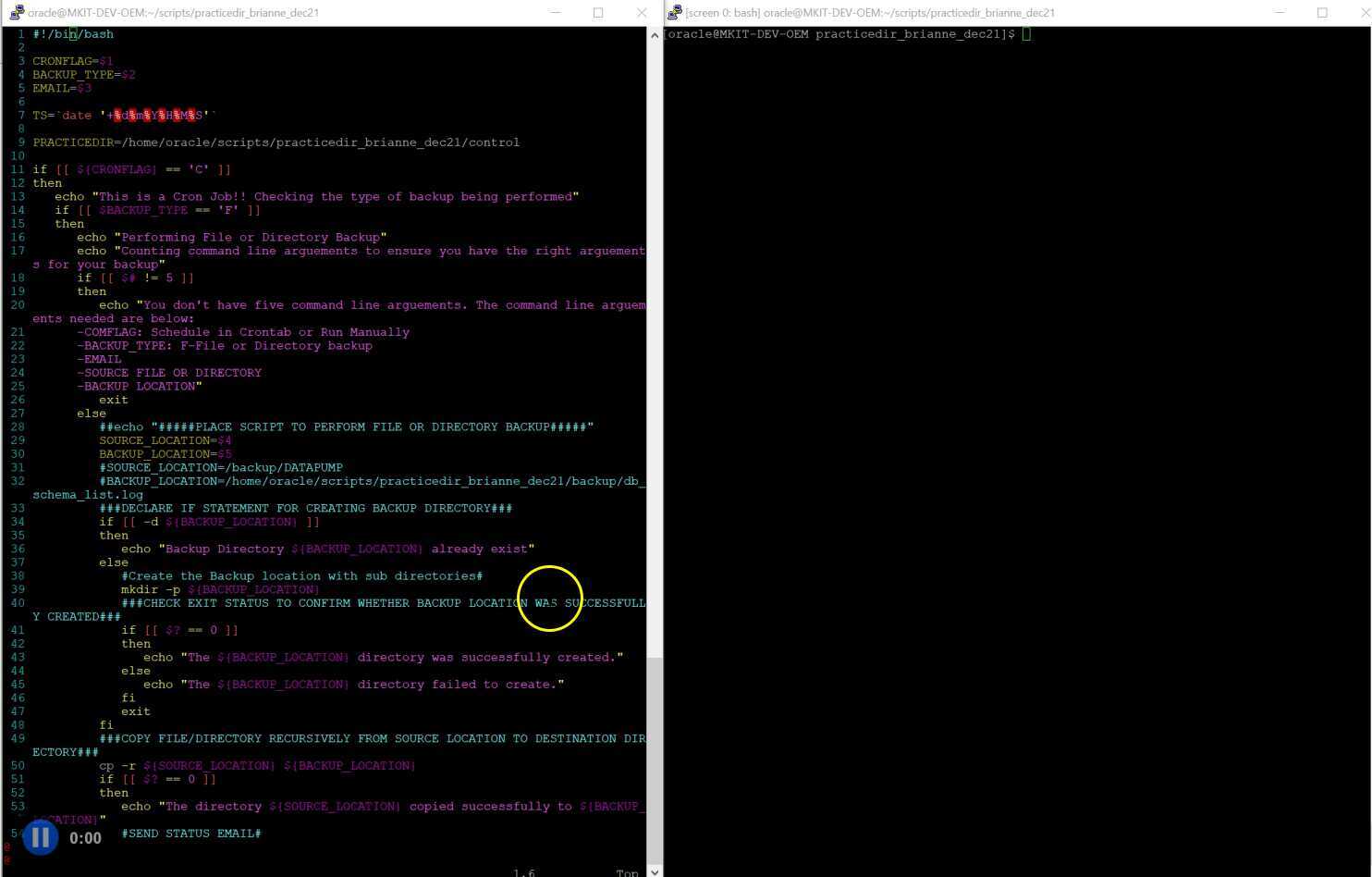 BRIANNE_GATTIS_CONTROL_SCRIPT
