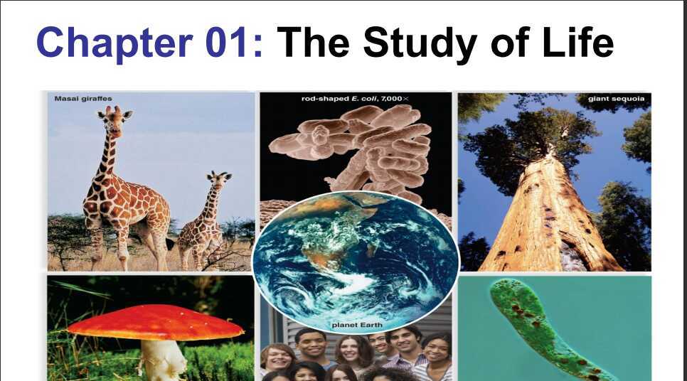 Chapter 1:The study of Life