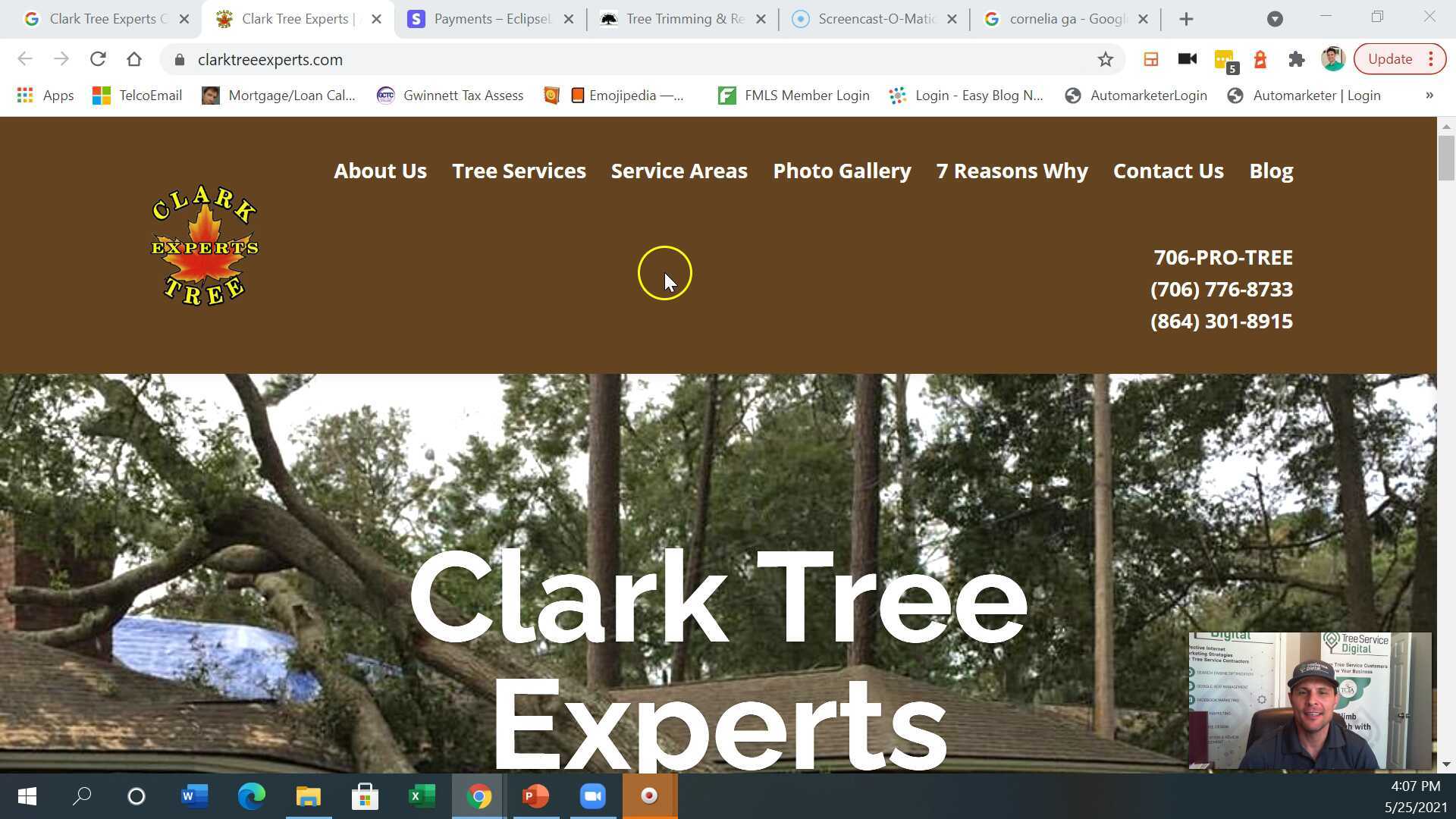 Clark Tree Experts Overview