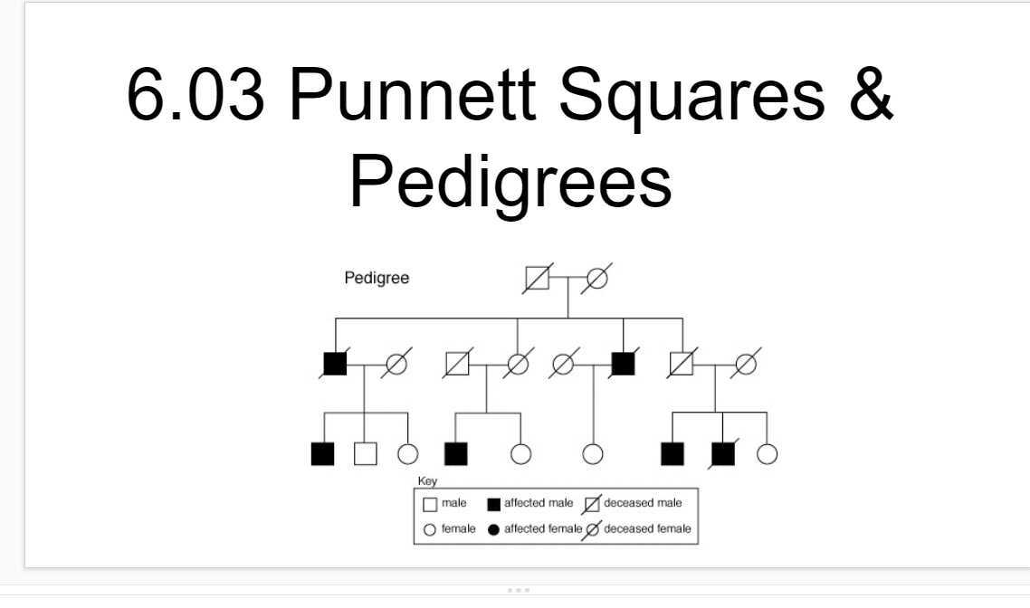 MJ 6.03 Punnett squares and pedigrees