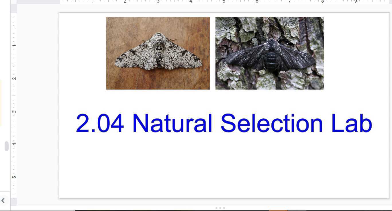 MJ 2.04 lab instructions
