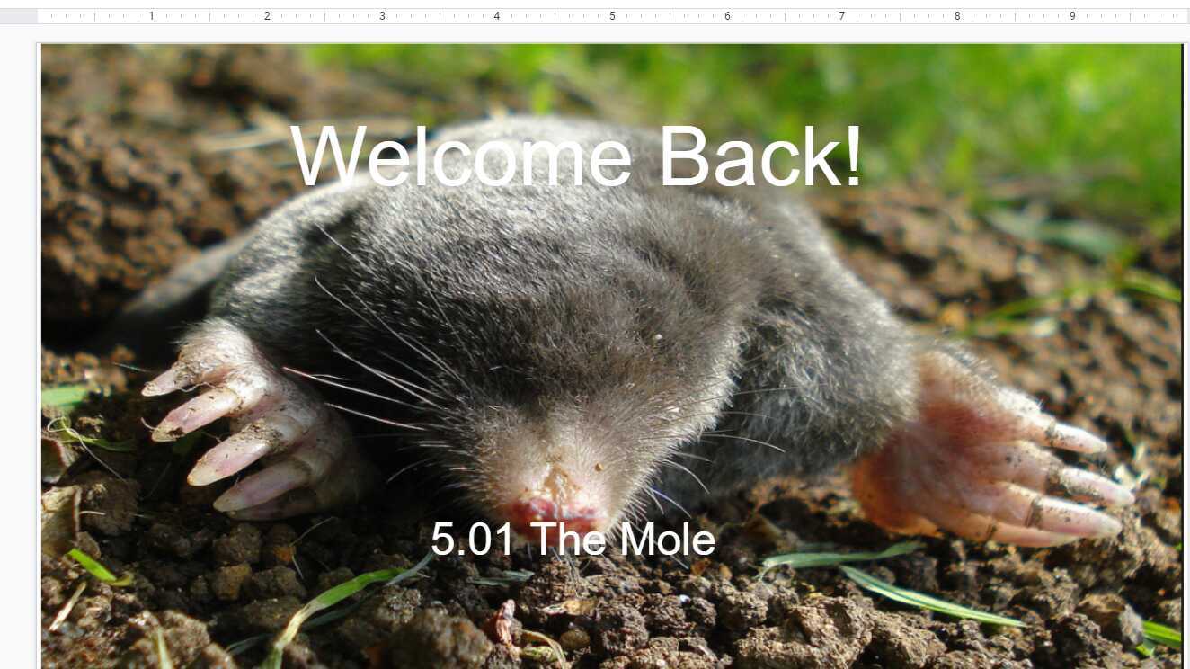 5.01 The mole