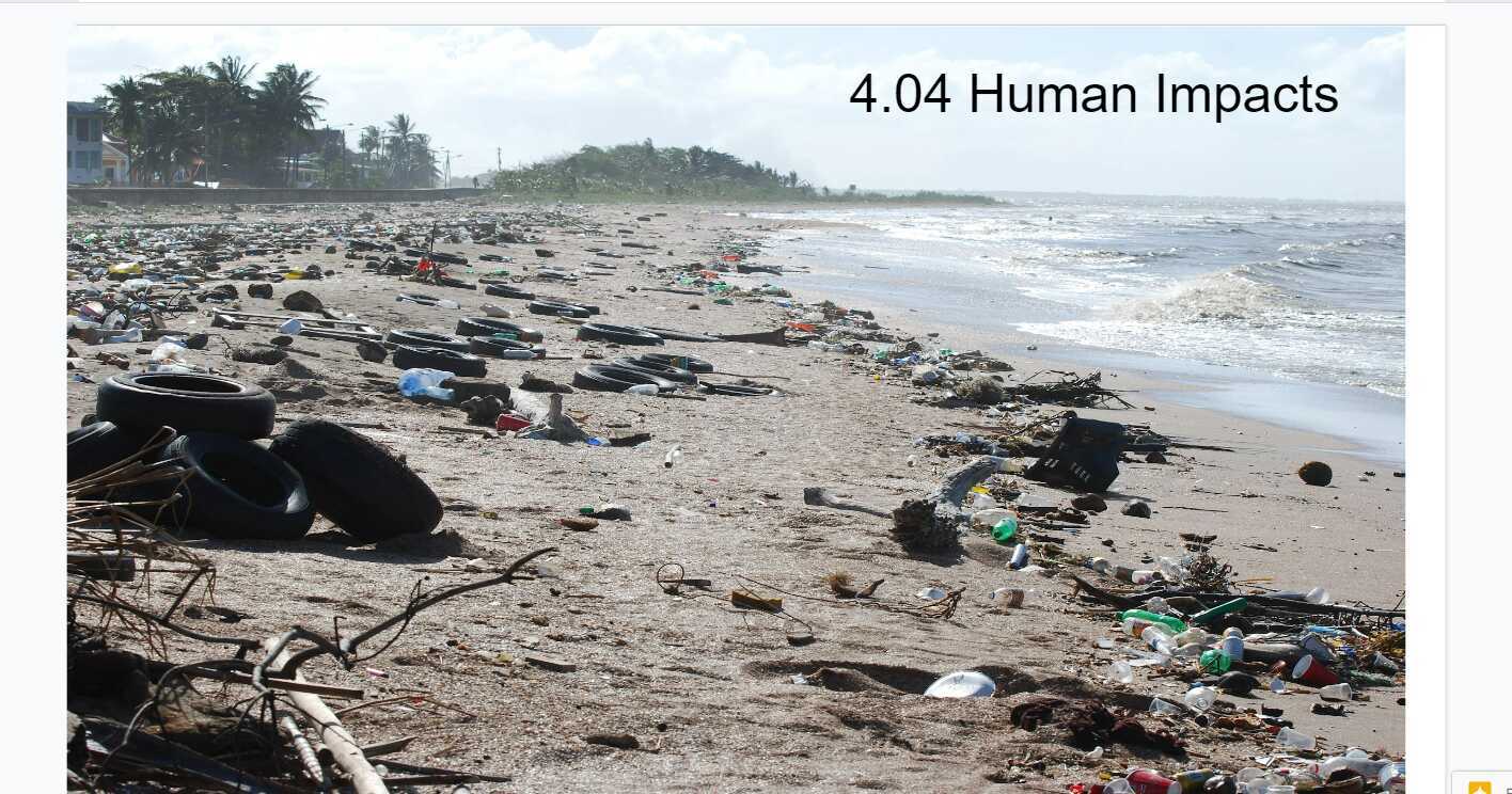 MJ Updated 4.04 Human Impacts