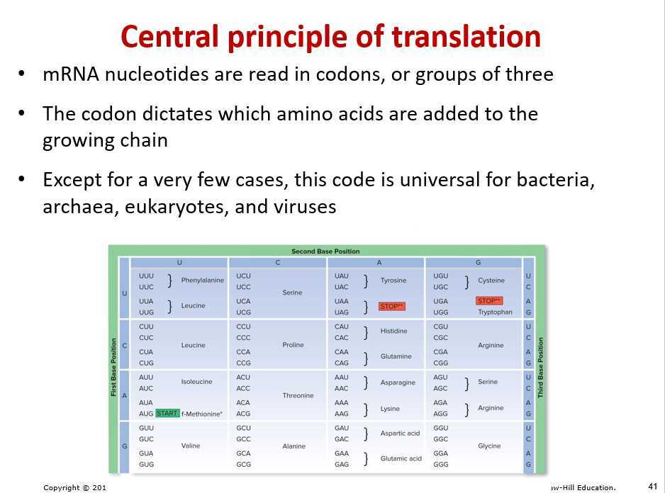 Genetic Code and Protein Synthesis
