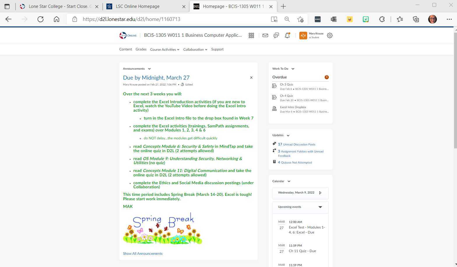 Excel 2019 Capstone Project Help
