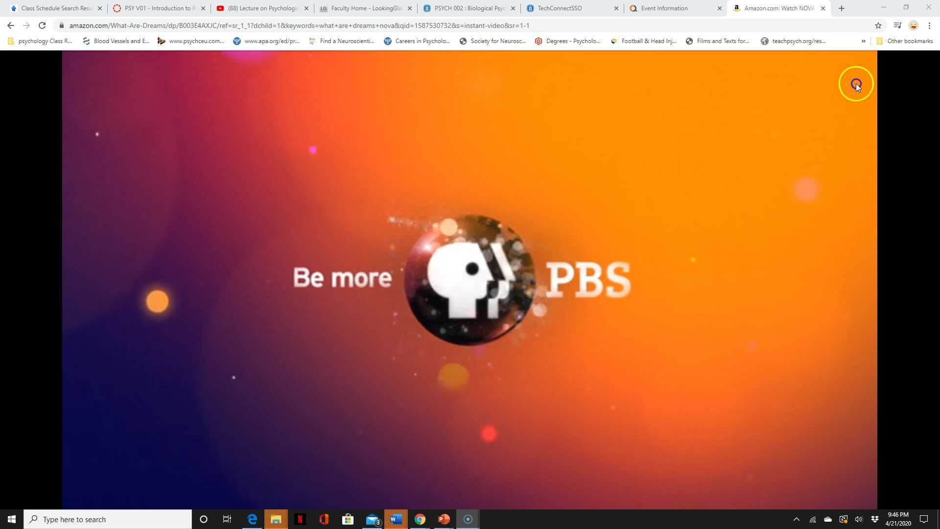 What are dreams nova