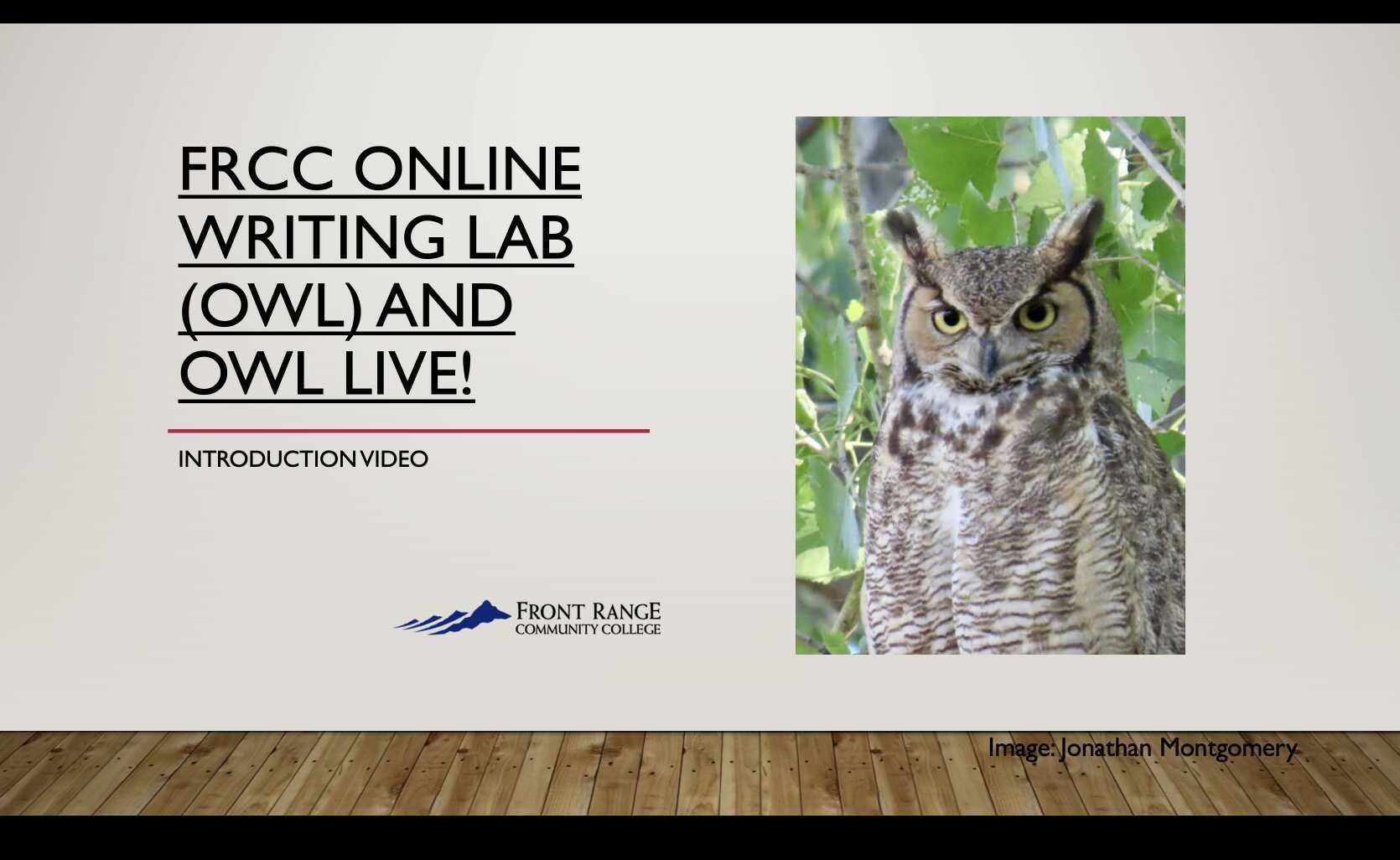 Student Video OWL OWL LIVE!