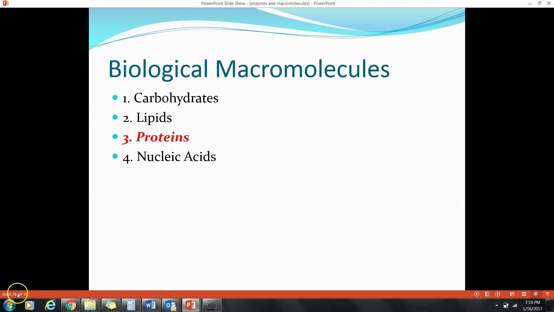 Enzymes and Macromolecules Part II