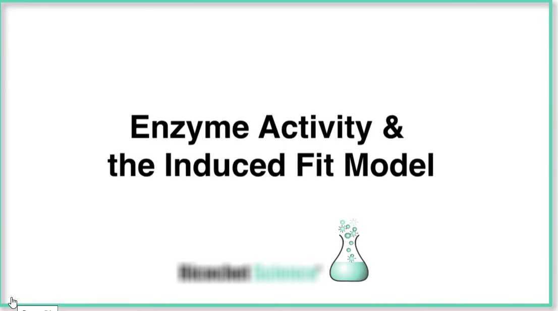 Enzyme Substrate Induced Fit Model