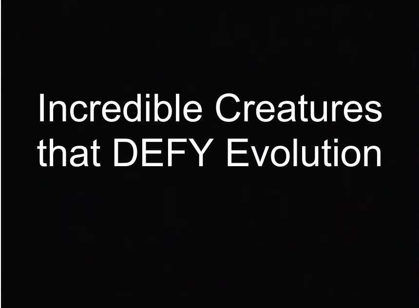 Incredible Creatures that Defy Evolution 1