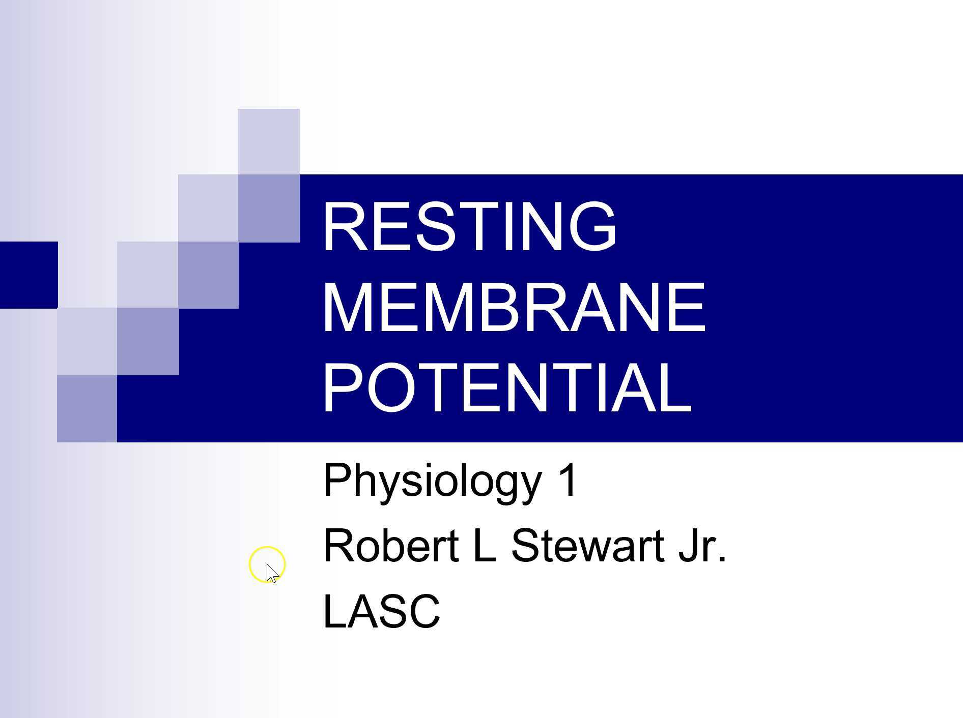 Resting Membrane Potential