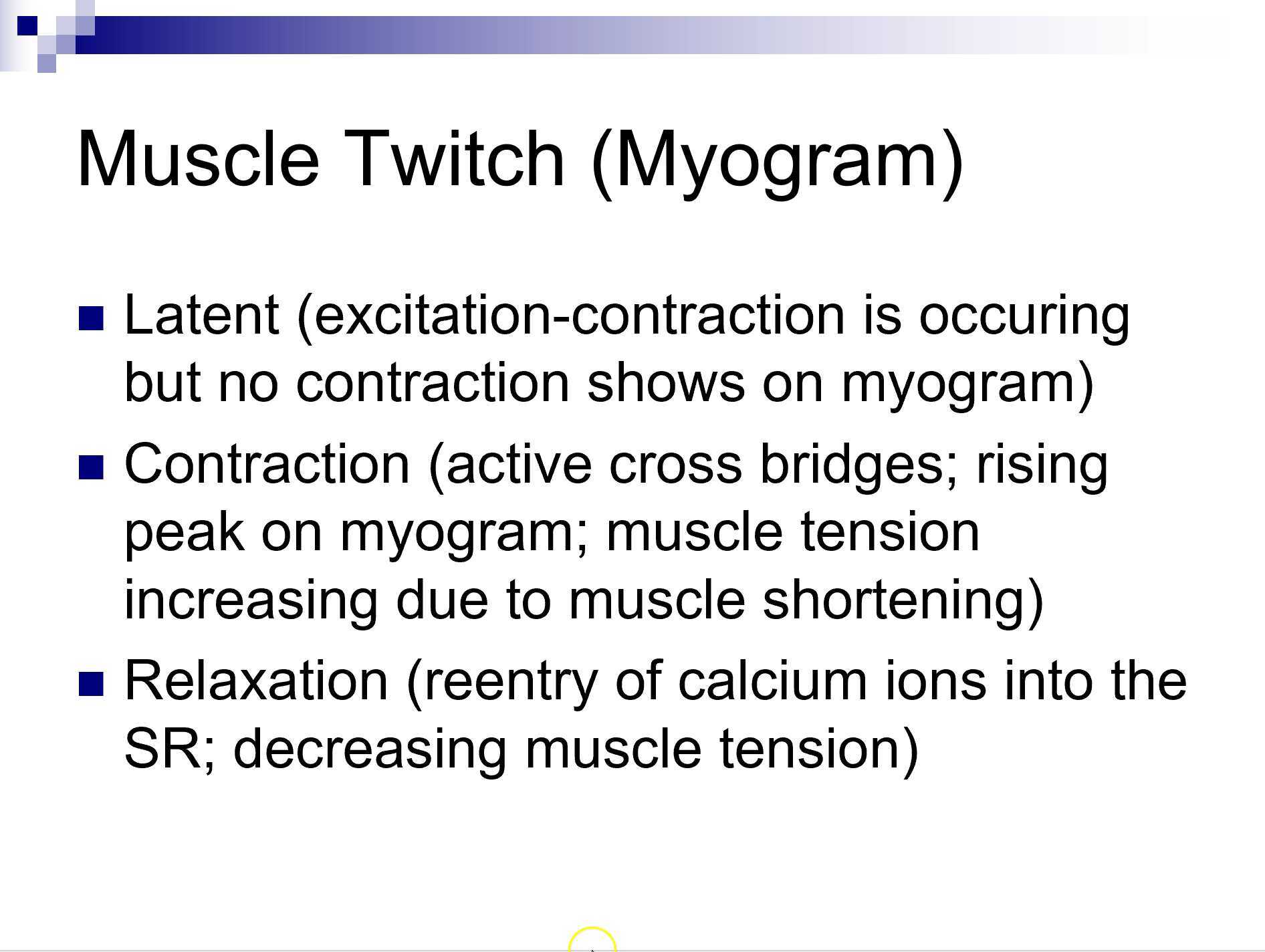 Skeletal Muscle Physiology 2