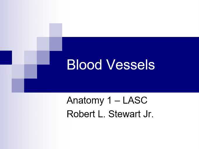 Blood Vessels Lecture Video