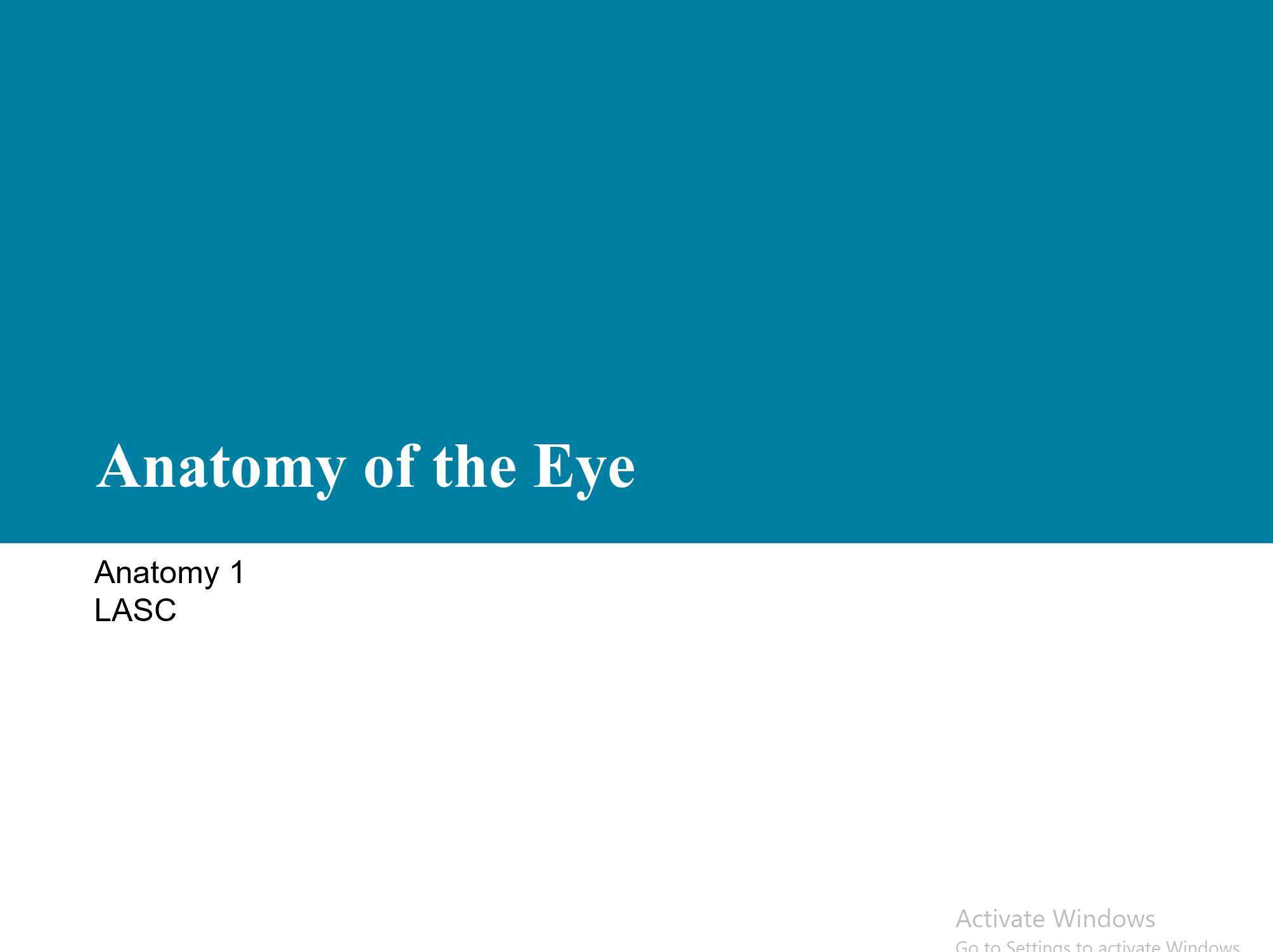 Anatomy of the Eye Video Lecture
