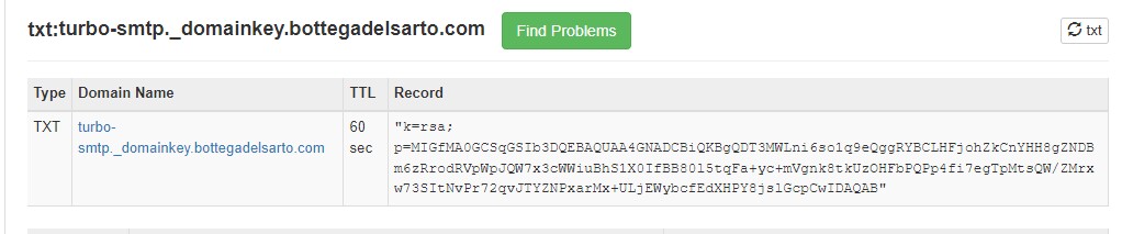 Snip - Network Tools DNS,IP,Email - Google Chrome